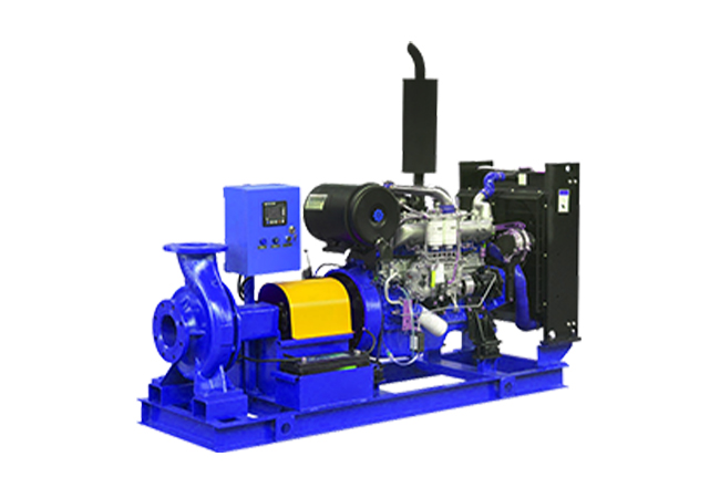Diesel Engine Horizontal Single-Stage Pump